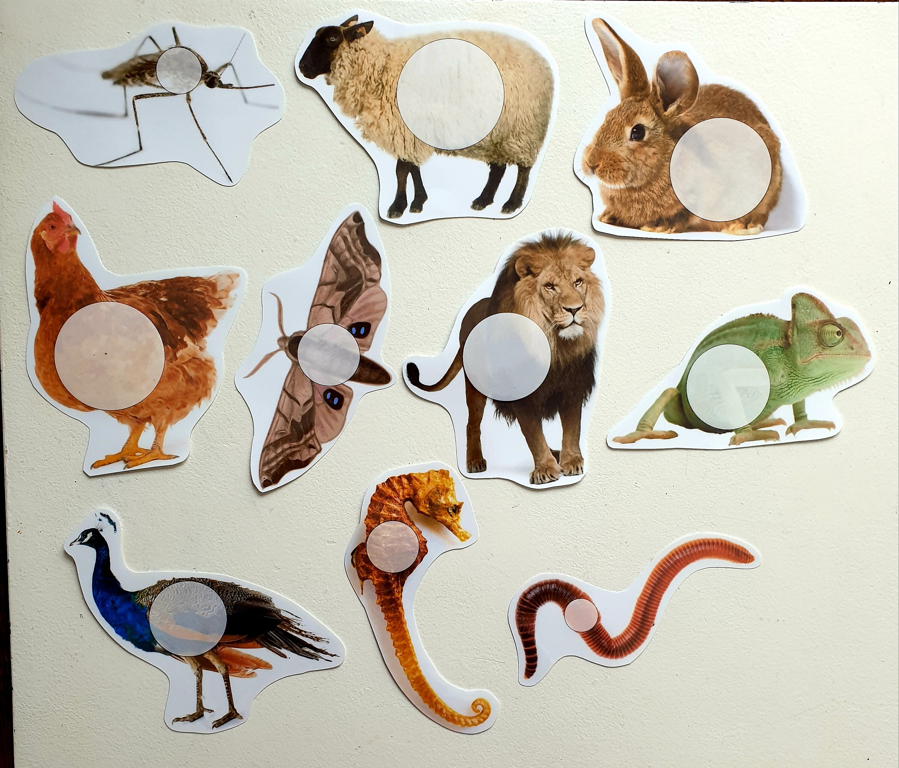 Montessori Magic Pictures Illuminated Pictures what Animals Eat 68 Pcs ...