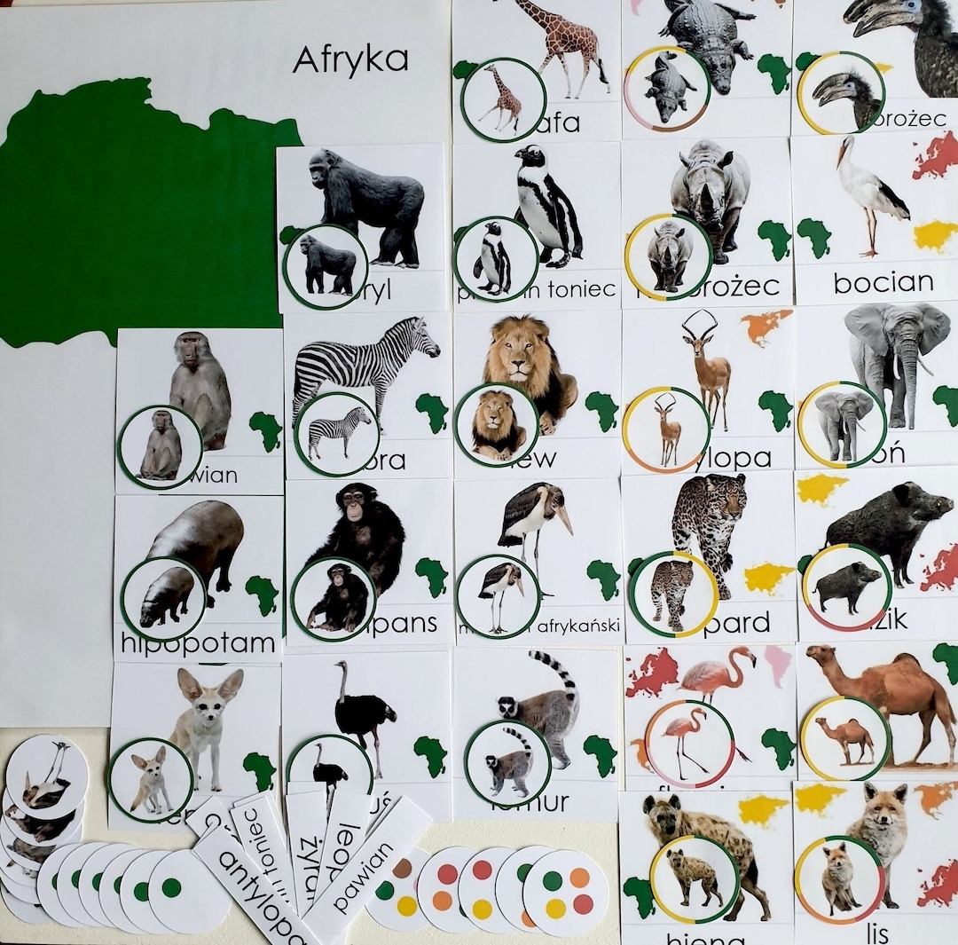 Continents Animals of the World According to Montessori Three-part ...