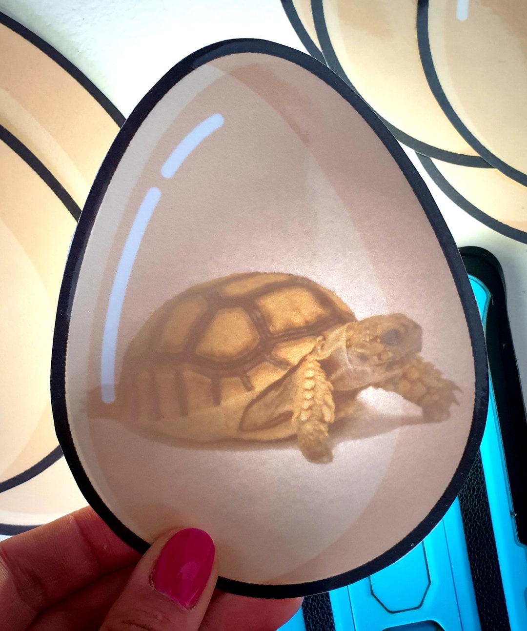 Montessori Magic Pictures Who Will Hatch From the Egg Animals of the ...