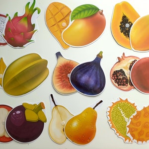Cross Sections of Fruit Montessori Puzzle Educational Material With ...