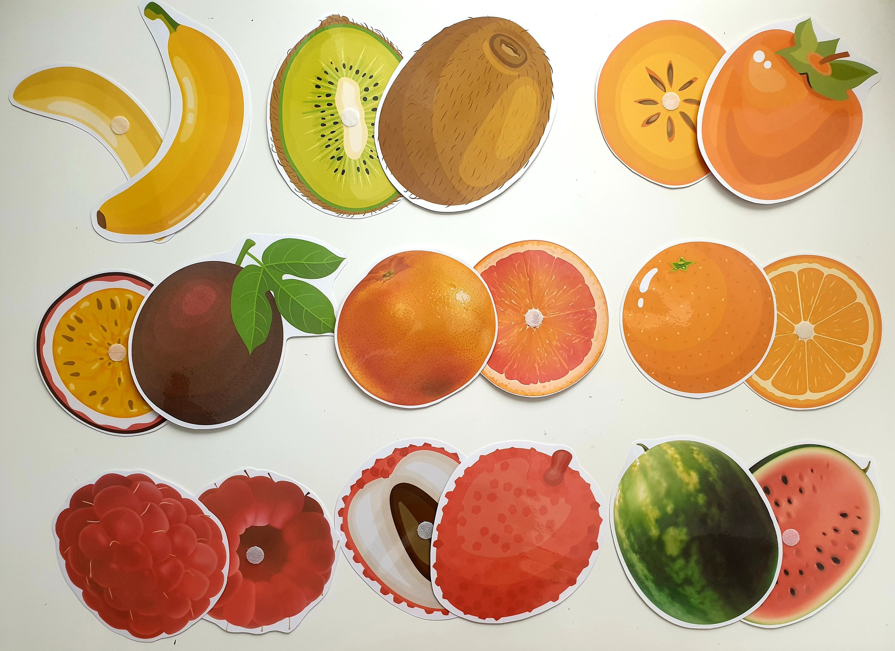 Montessori Puzzle Fruit Cross-sections Educational - Etsy