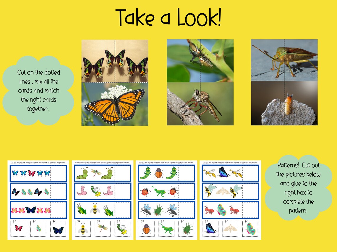 Preschool Bugs and Insects Bundle, Preschool Printable, Bugs, Insects ...