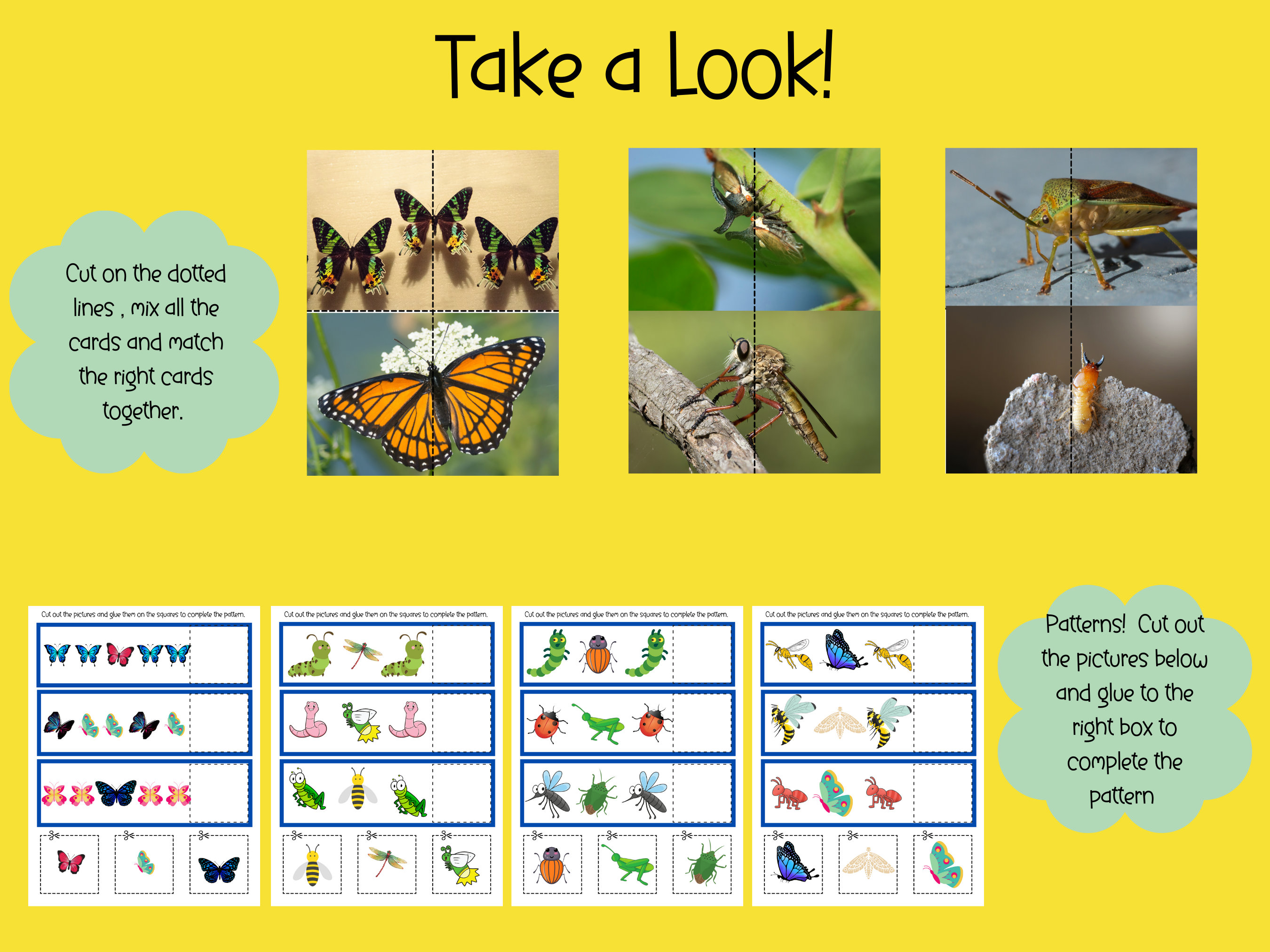 Preschool Bugs and Insects Bundle, Preschool Printable, Bugs, Insects ...
