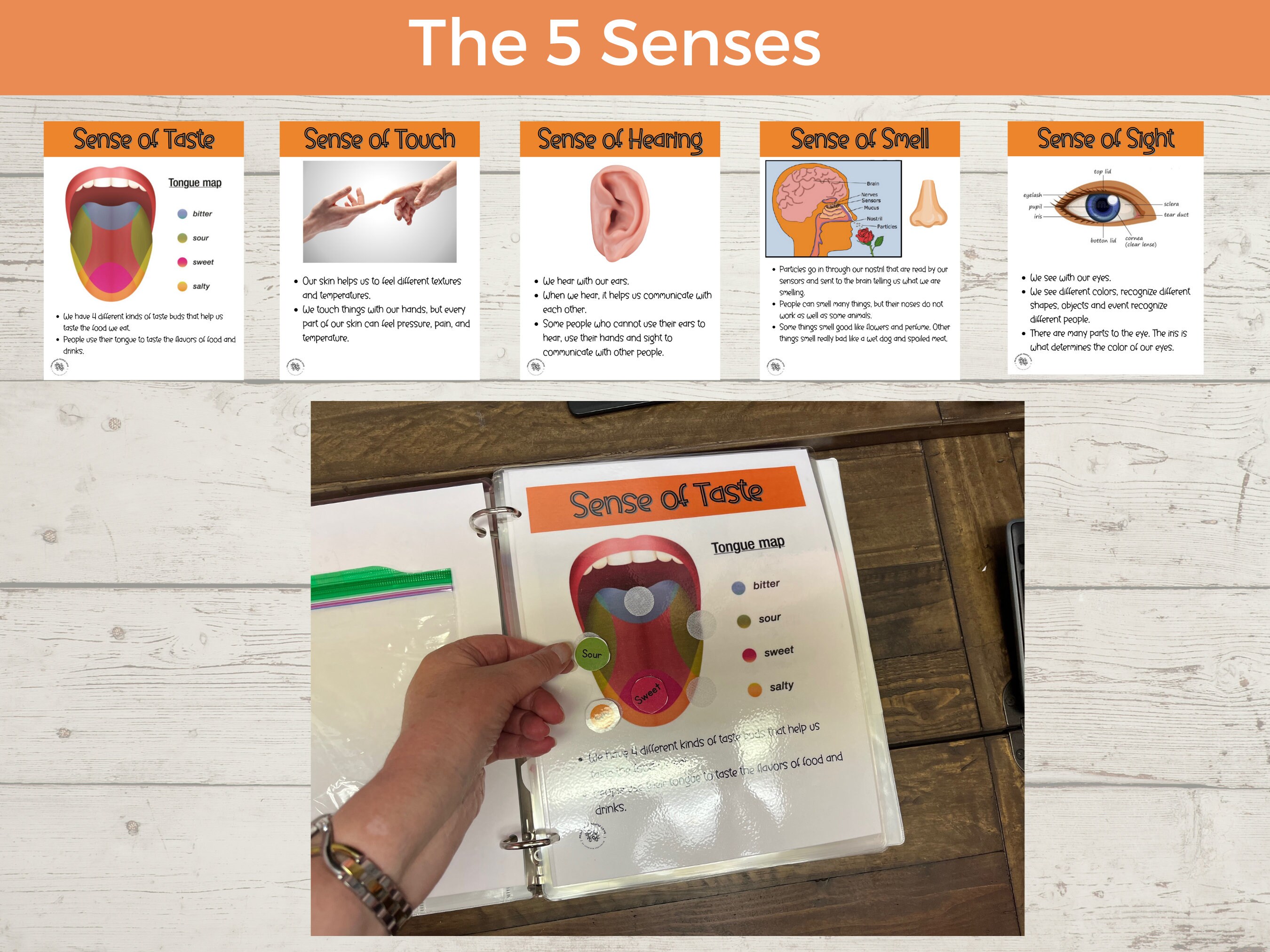 5 Senses Preschool Busy Book Busy Binder Five Senses | Etsy