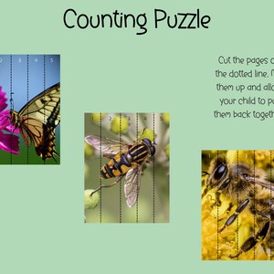 Preschool Bugs and Insects Bundle, Preschool Printable, Bugs, Insects ...