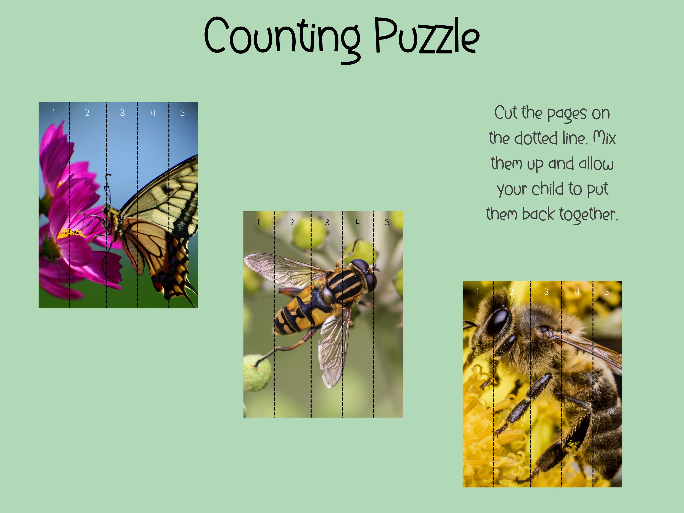 Preschool Bugs and Insects Bundle, Preschool Printable, Bugs, Insects ...