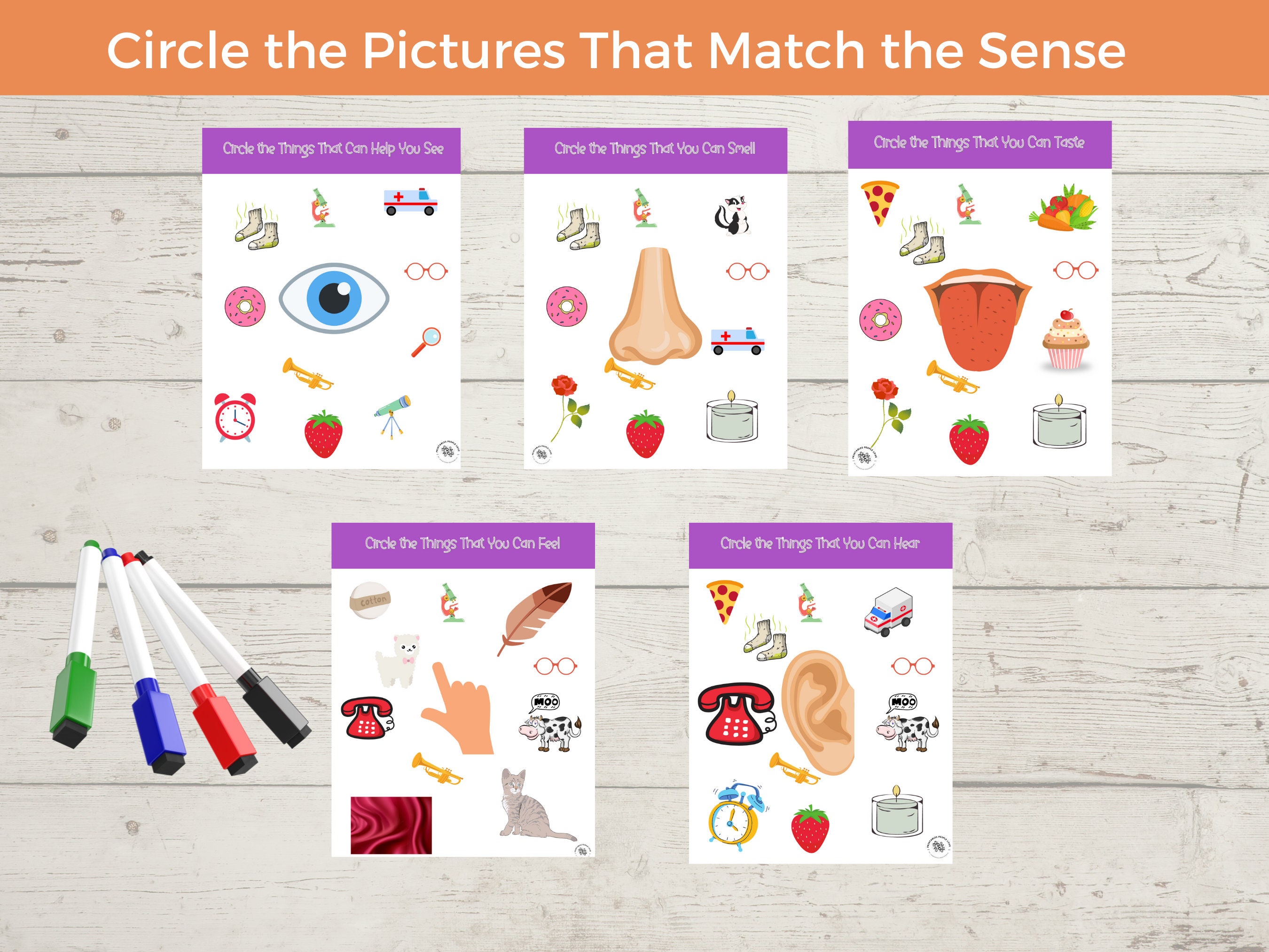 5 Senses Preschool Busy Book, Busy Binder, Five Senses Activities ...