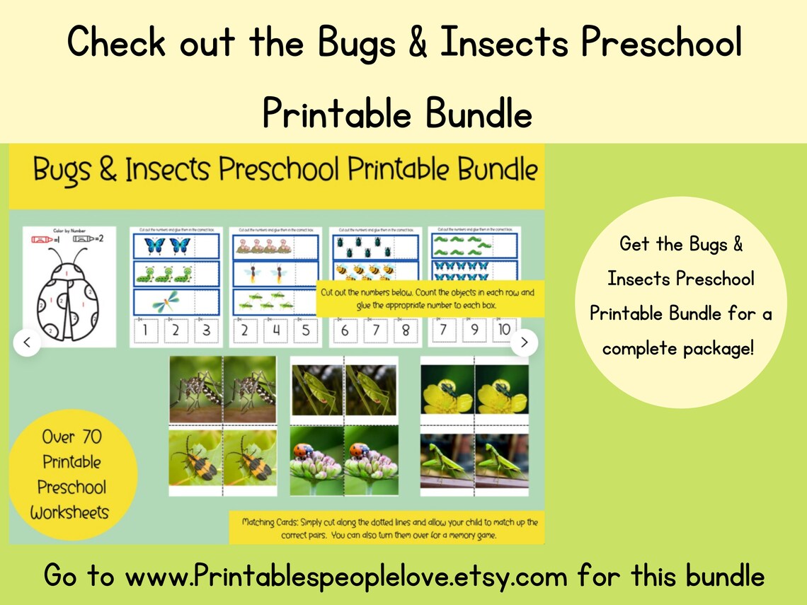 Bugs & Insects Lacing Cards, Montessori Learning, Montessori Toys ...