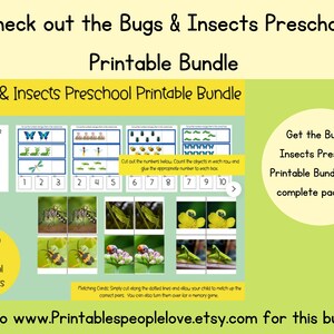 Bugs & Insects Lacing Cards, Montessori Learning, Montessori Toys ...