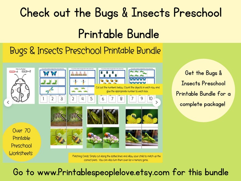 Bugs & Insects Lacing Cards, Montessori Learning, Montessori Toys ...
