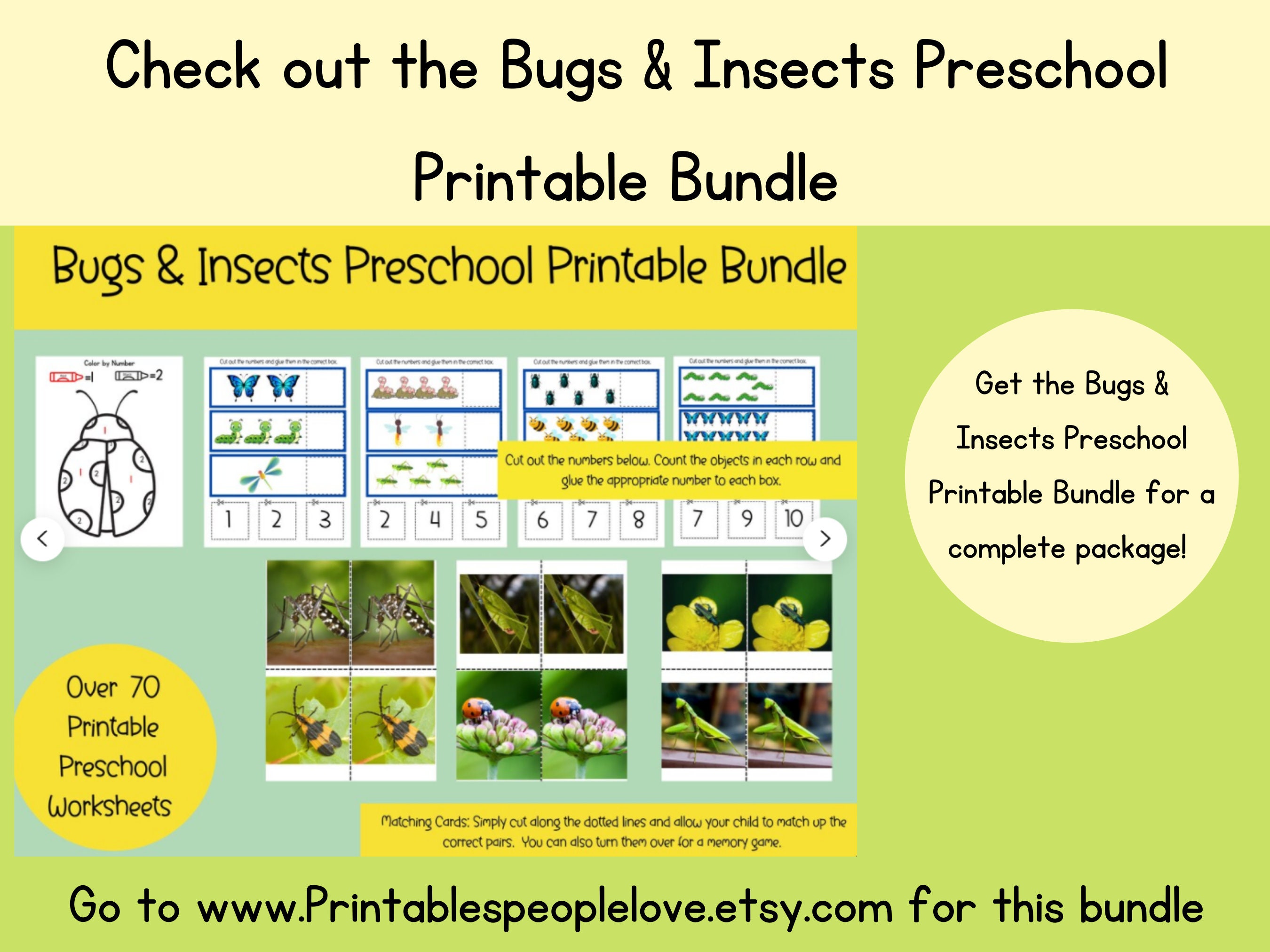 Bugs & Insects Lacing Cards, Montessori Learning, Montessori Toys ...