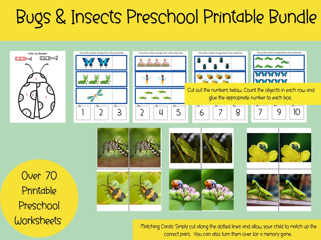 Preschool Bugs and Insects Bundle, Preschool Printable, Bugs, Insects ...