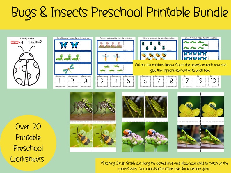 Preschool Bugs and Insects Bundle, Preschool Printable, Bugs, Insects ...