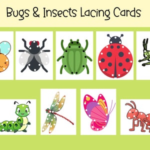 Bugs & Insects Lacing Cards, Montessori Learning, Montessori Toys ...