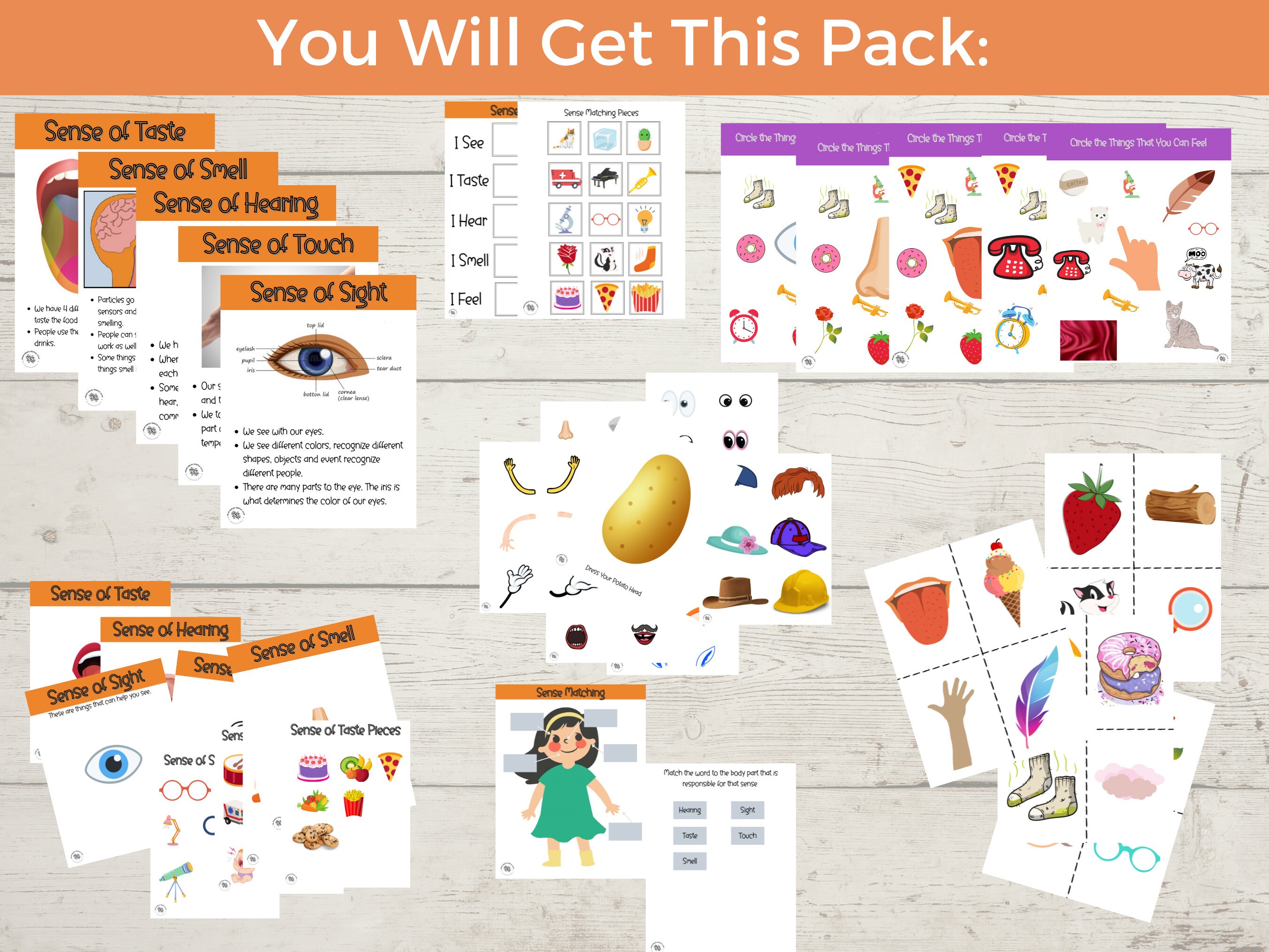 5 Senses Preschool Busy Book, Busy Binder, Five Senses Activities ...