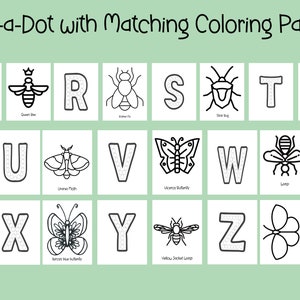 Preschool Bugs and Insects Bundle, Preschool Printable, Bugs, Insects ...