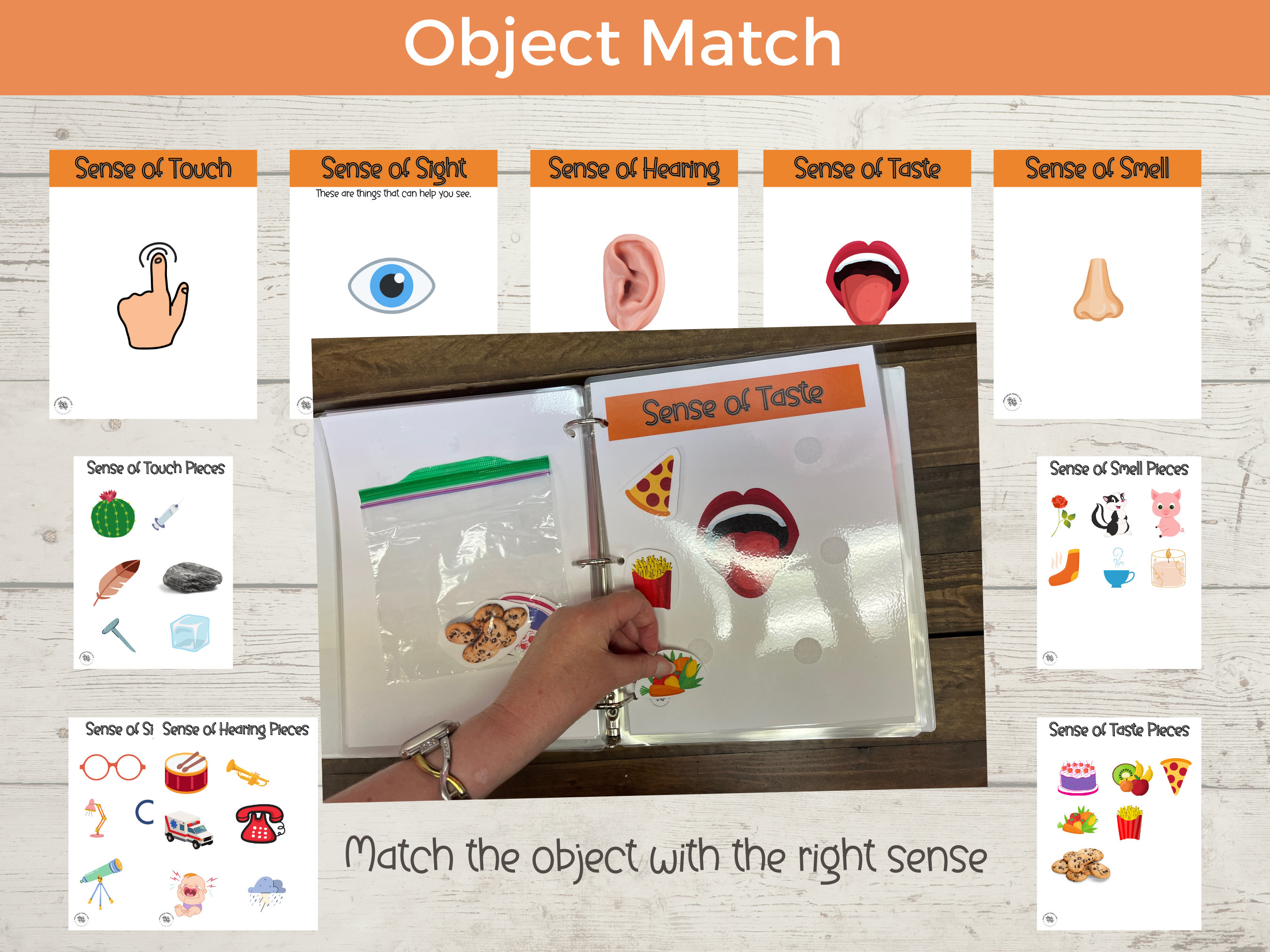 5 Senses Preschool Busy Book, Busy Binder, Five Senses Activities ...