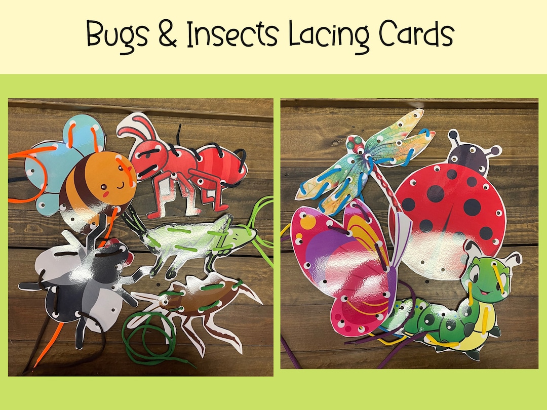 Bugs & Insects Lacing Cards, Montessori Learning, Montessori Toys ...