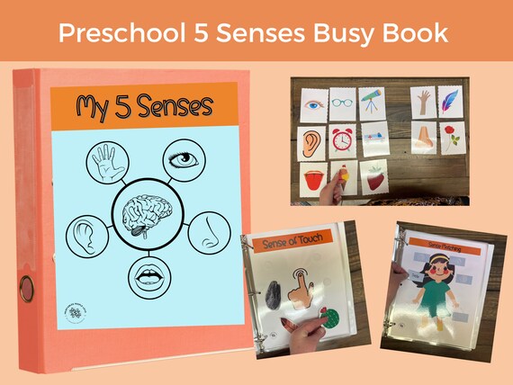 5 Senses Preschool Busy Book Busy Binder Five Senses | Etsy
