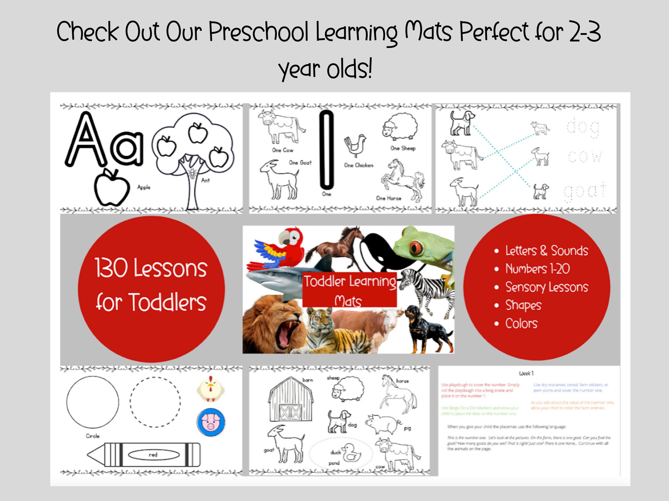 Preschool Bugs and Insects Bundle, Preschool Printable, Bugs, Insects ...
