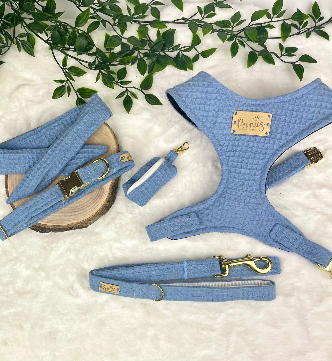 Light Blue Dog Harness Set, Baby Blue Collar & Leash Set for Boy Puppy ...
