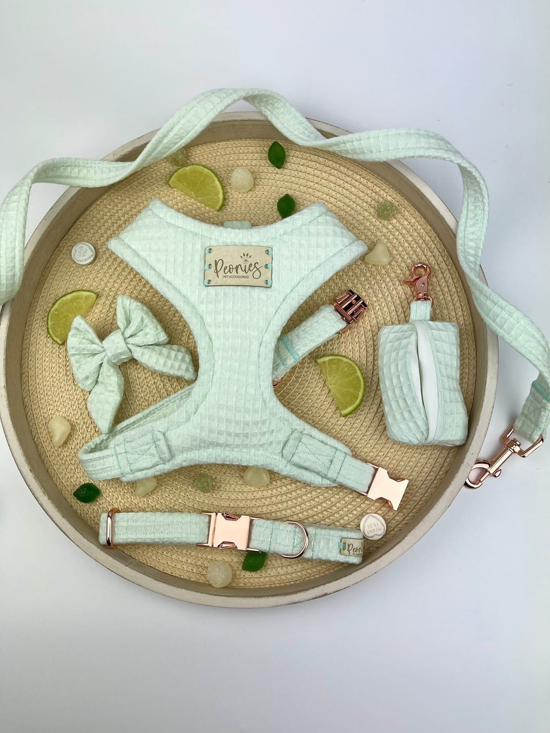 Dog Harness Set in Key Lime Pie (mint/green/sage/pastel) Waffle Dog ...