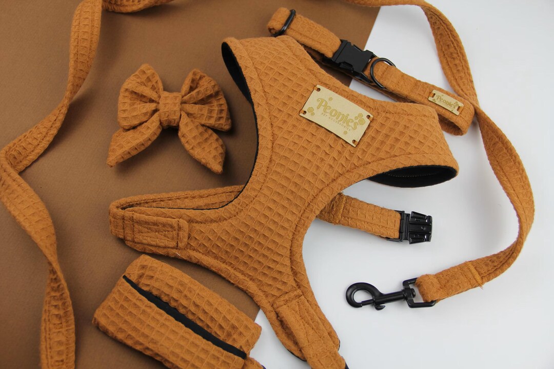 Rust Burnt Orange Dog Harness and Leash Collar Bow Tie Set, Accessories ...
