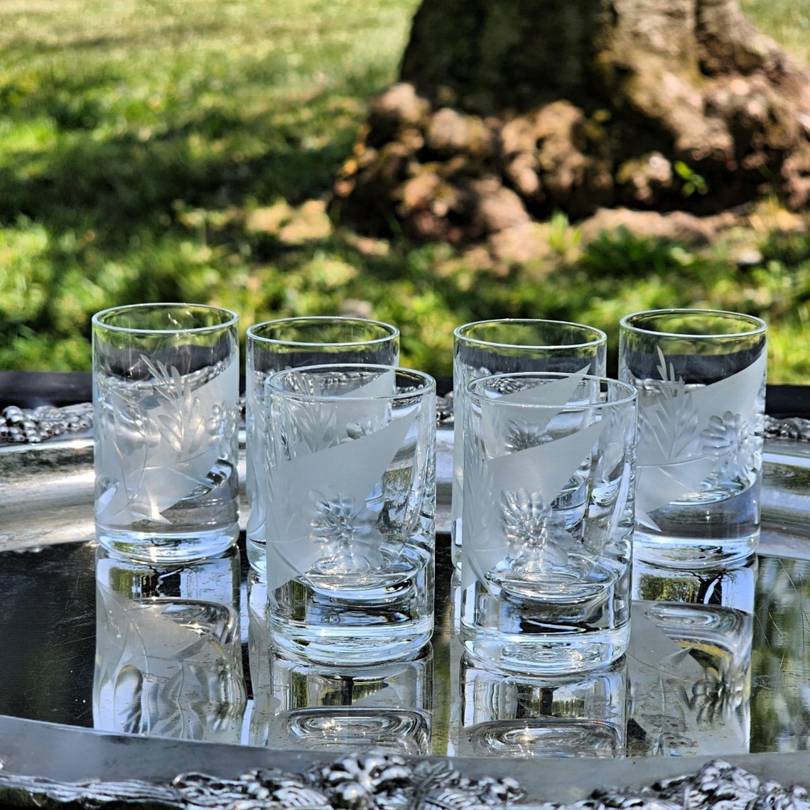 Set of 6 Crystal Etched Cornflower Crystal Shot Vintage Glasses - Etsy