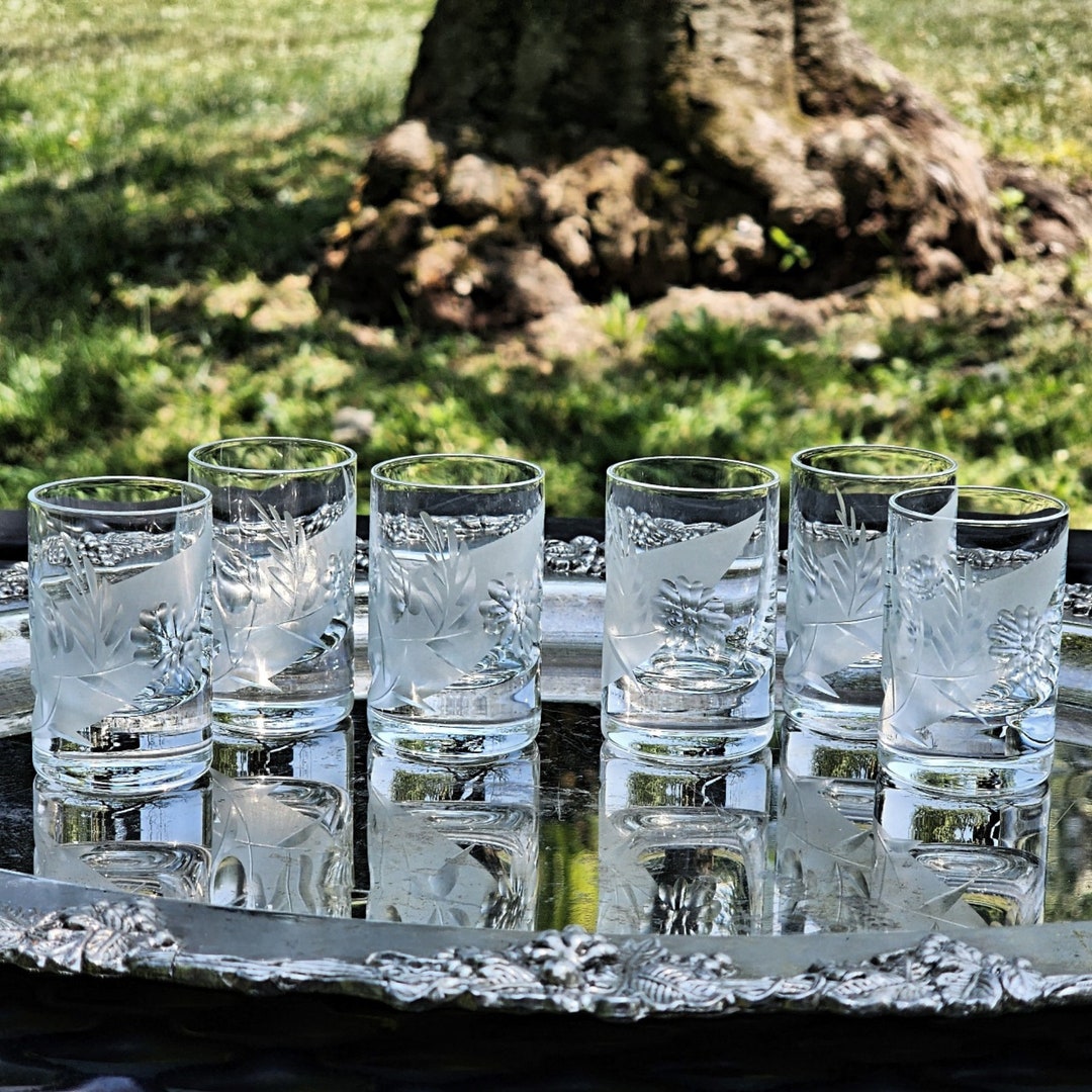 Set of 6 Crystal Etched Cornflower Crystal Shot Vintage Glasses - Etsy
