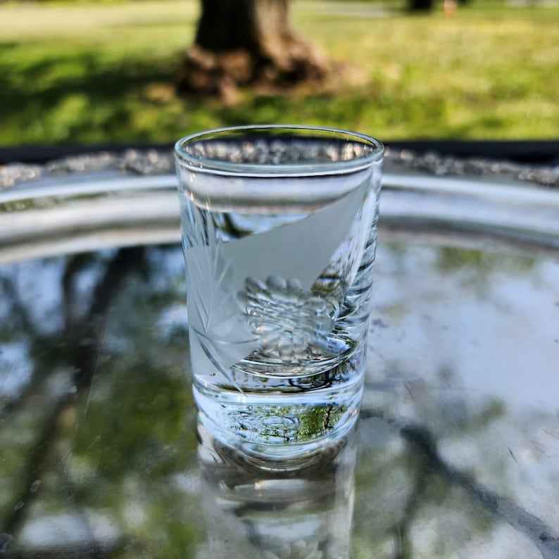 Set of 6 Crystal Etched Cornflower Crystal Shot Vintage Glasses - Etsy