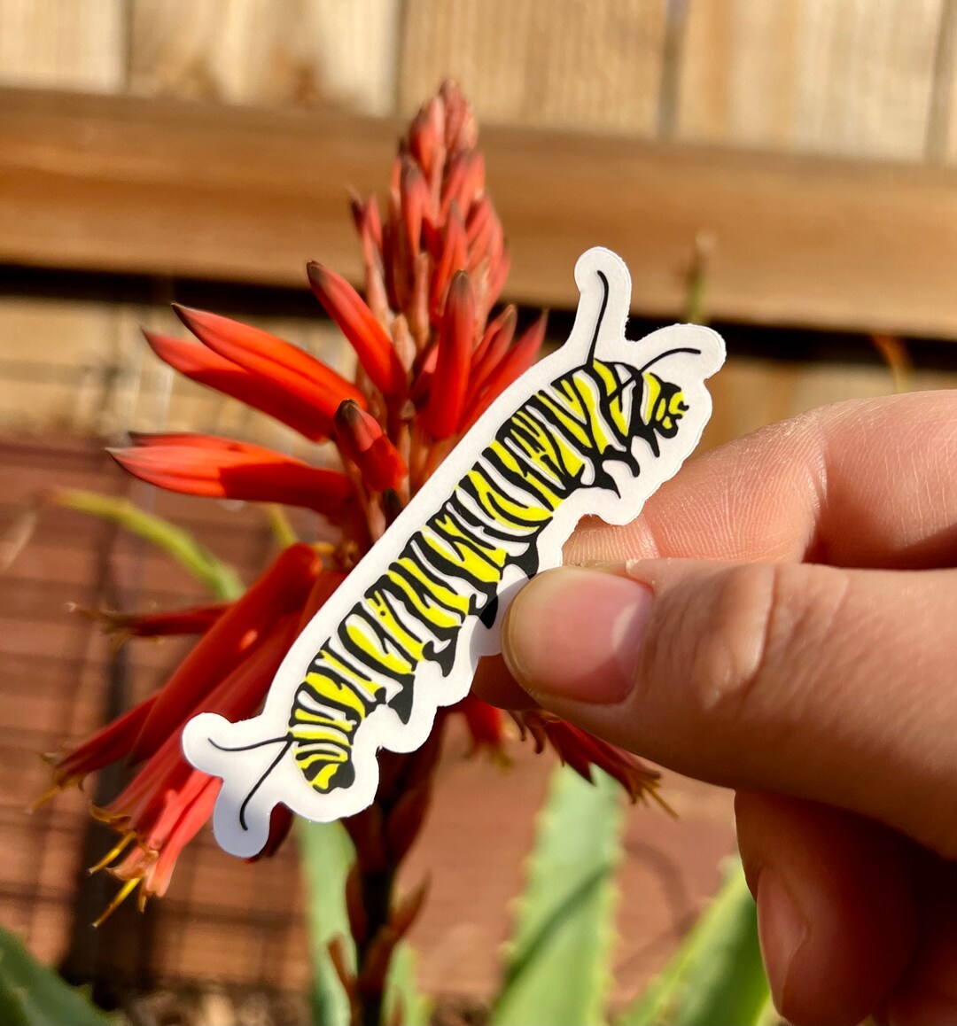 Transparent Caterpillar Vinyl Sticker, Waterproof Sticker - Etsy