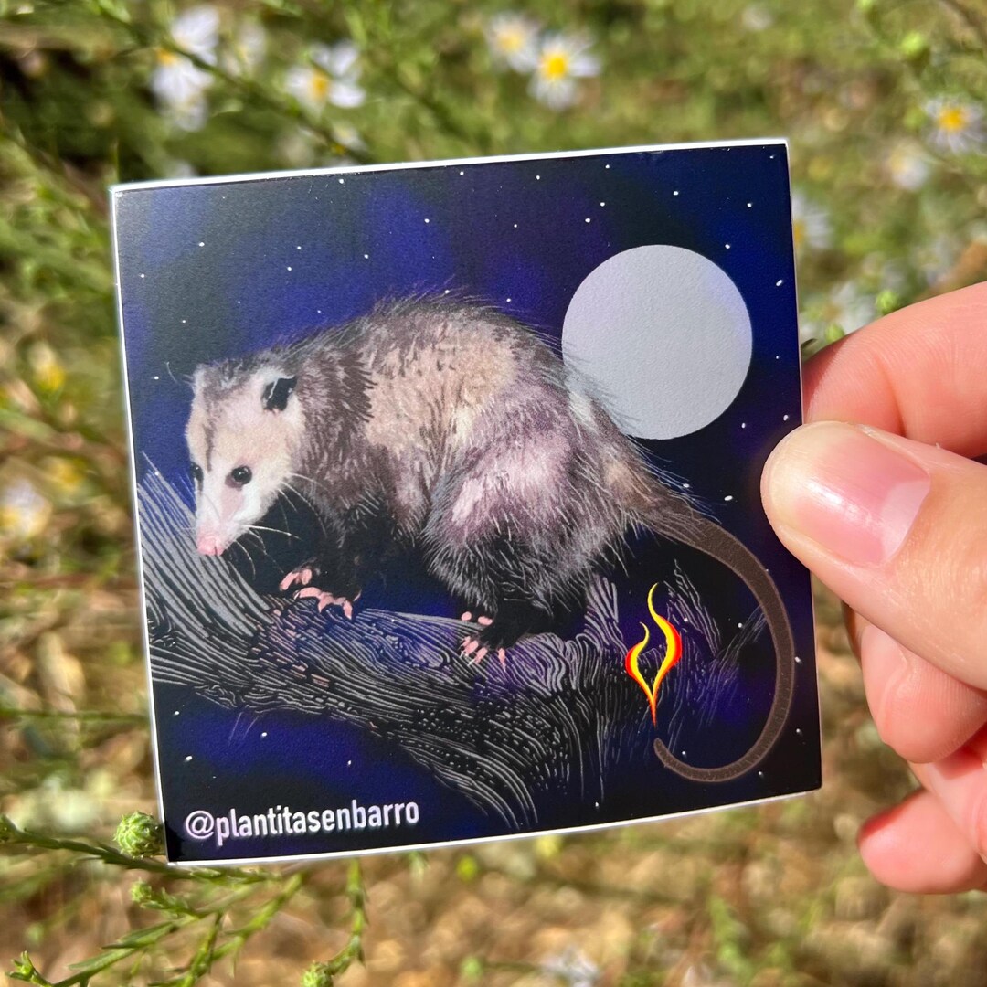 Tlacuache (zarigüeya De Virginia) | 3 Inch Vinyl Sticker - Etsy