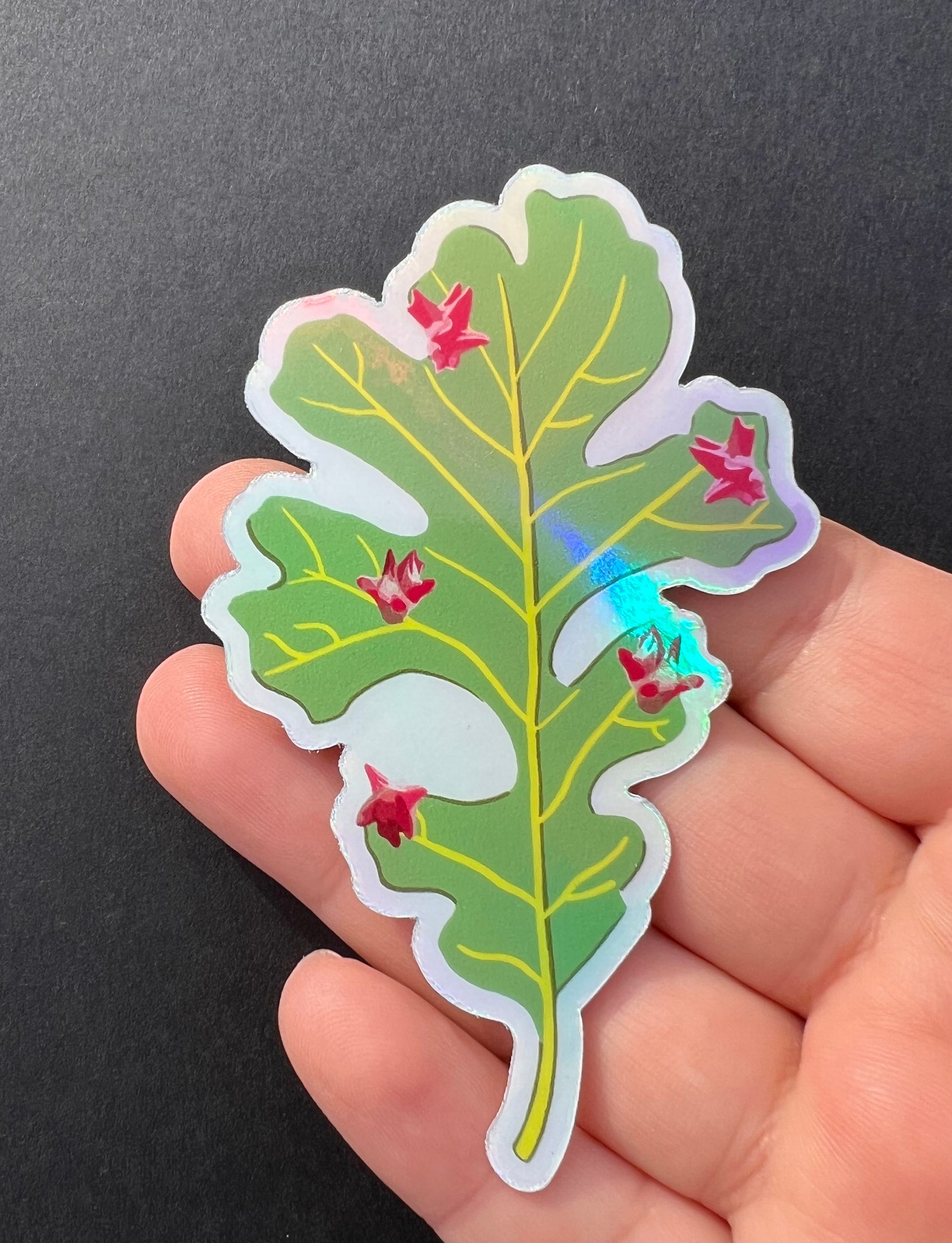 Valley Oak Leaf With Gall Waspsquercia Lobata 3 Inch Holographic ...