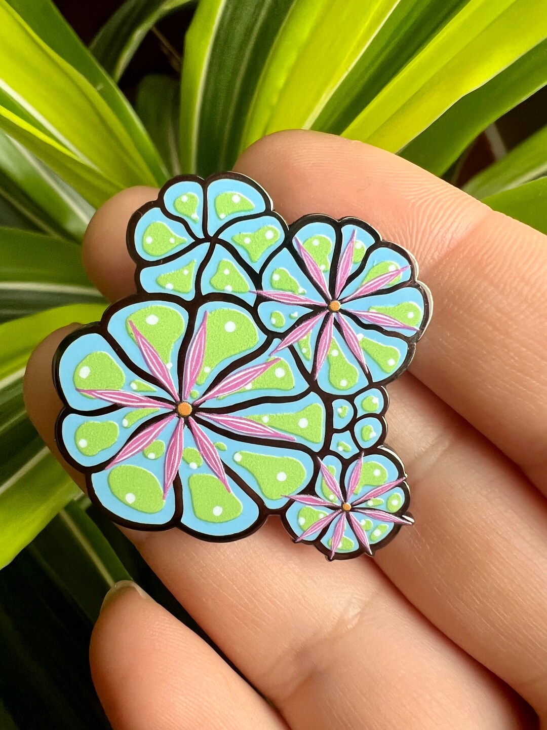 1.5 Inch Metal Pin of Lophophora Williamsii | Peyote Metal Pin - Etsy