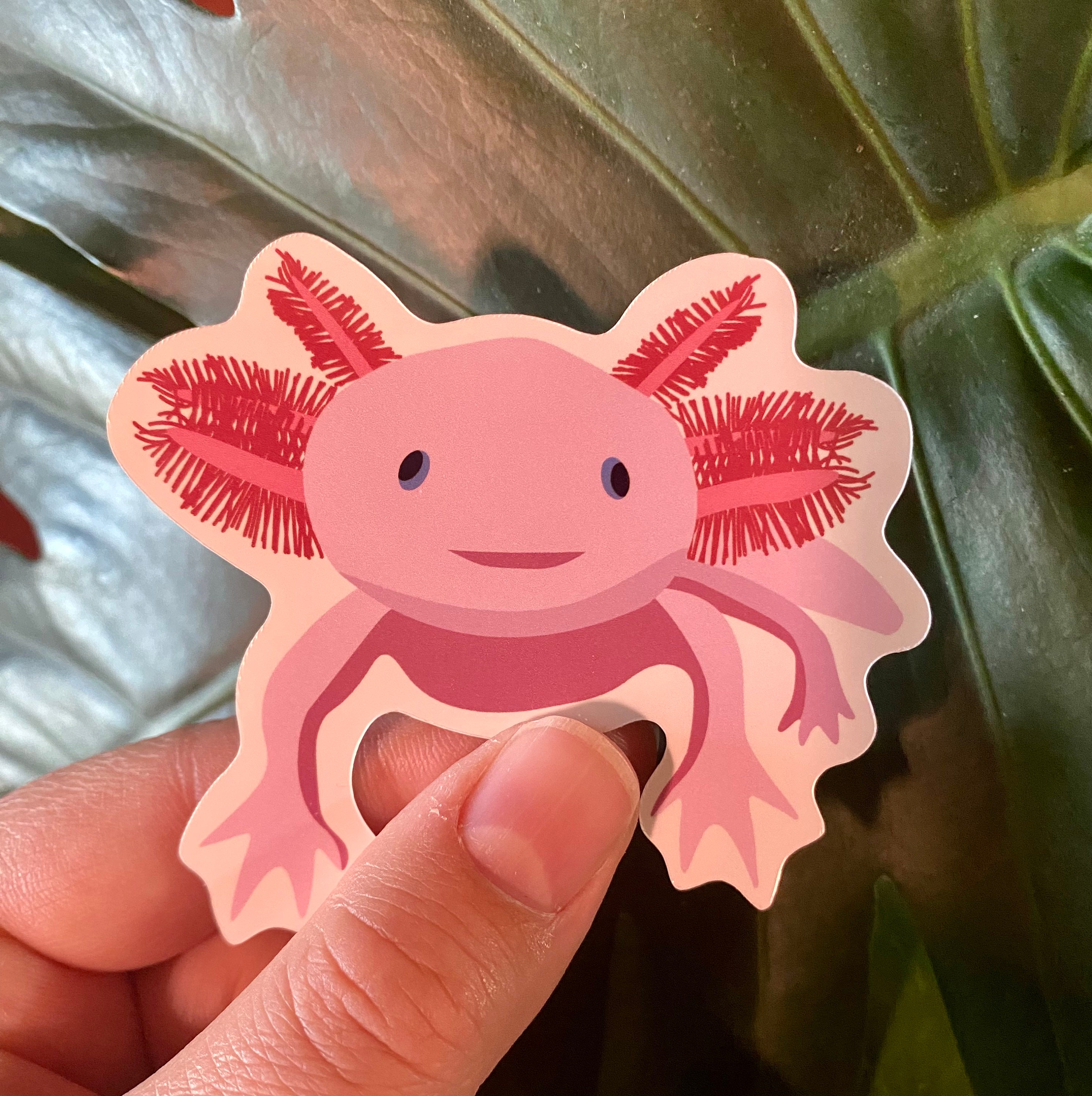 Axolotl Sticker - Etsy