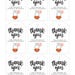 Miffy Birthday Party Favor Tags~editable - Etsy