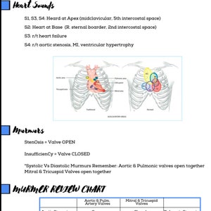 CCRN CRAM SHEET (cheat Sheet) - Etsy