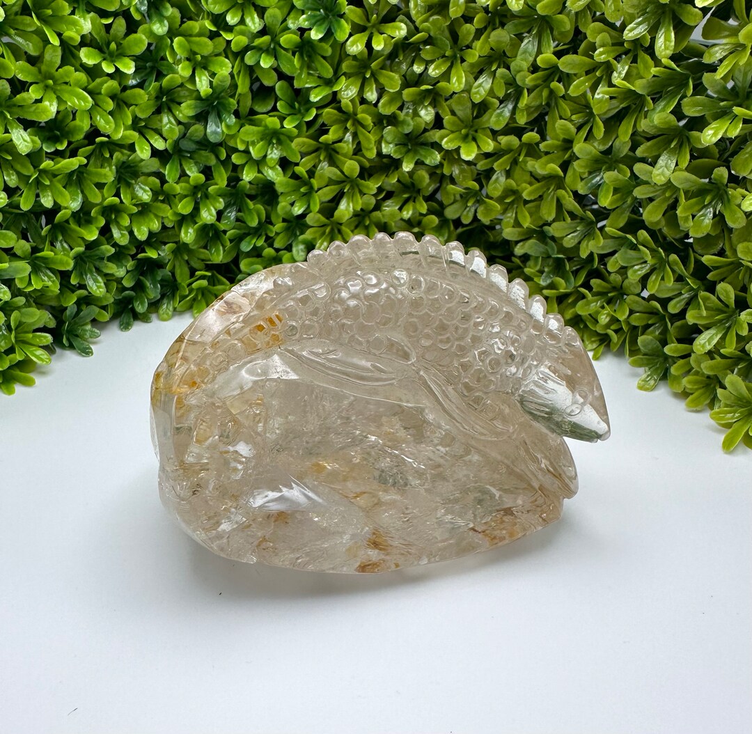 Clear Quartz Lizard, Lizard, Clear Quartz, High Quality Crystals, Large ...
