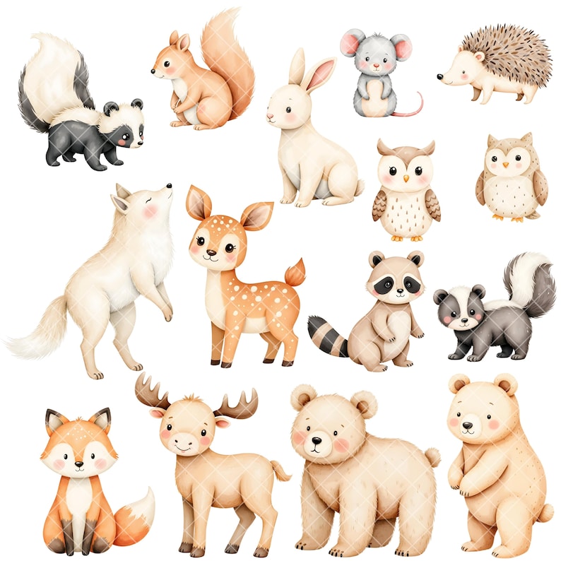 Cute Woodland Animal Clipart - Watercolor - Forest Animals Png - High ...