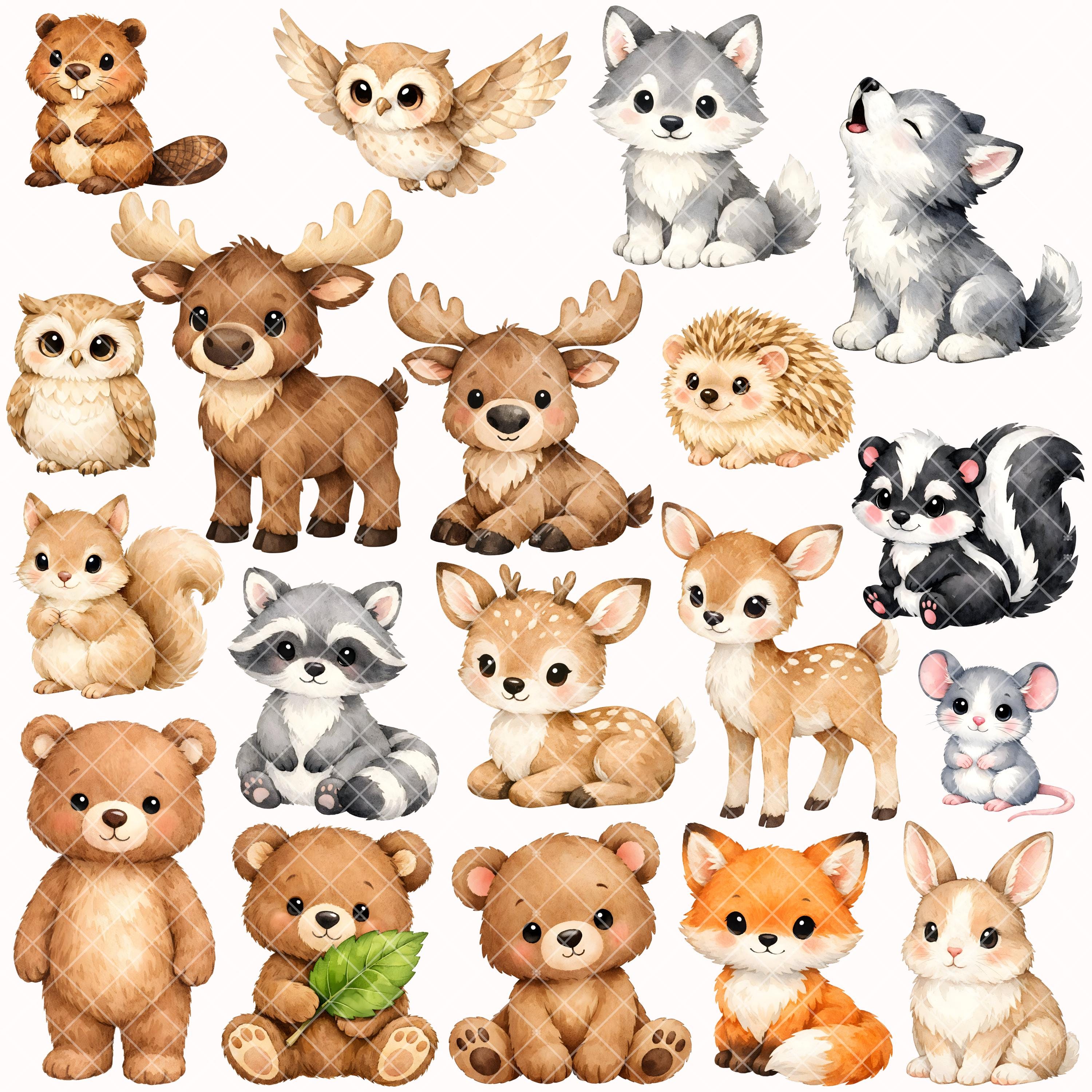Cute Woodland Clipart - Watercolor - Forest Animals Png - Commercial ...