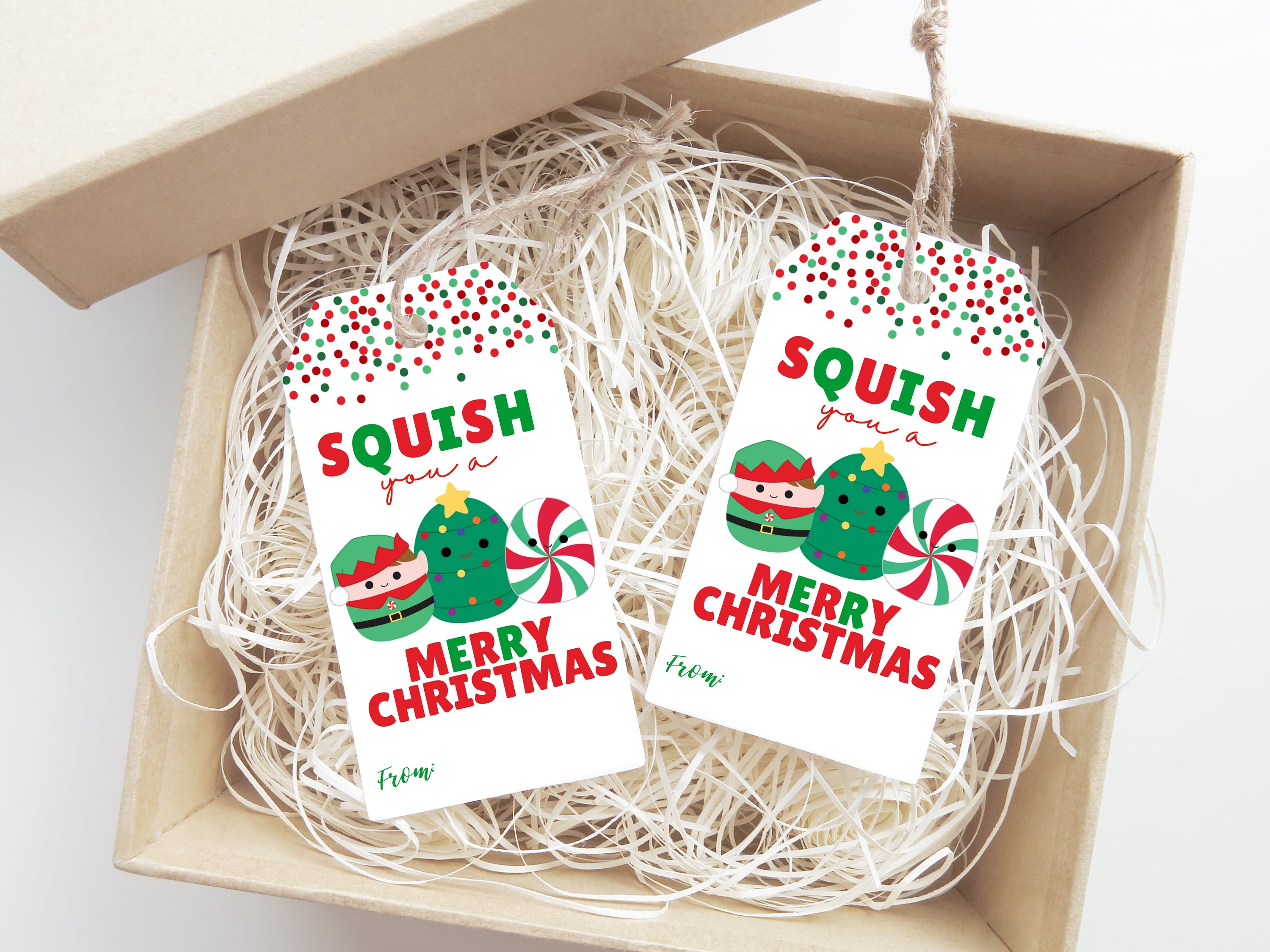 Squish Gift Tag Printable Christmas Favor Tag Instant Download Digital ...