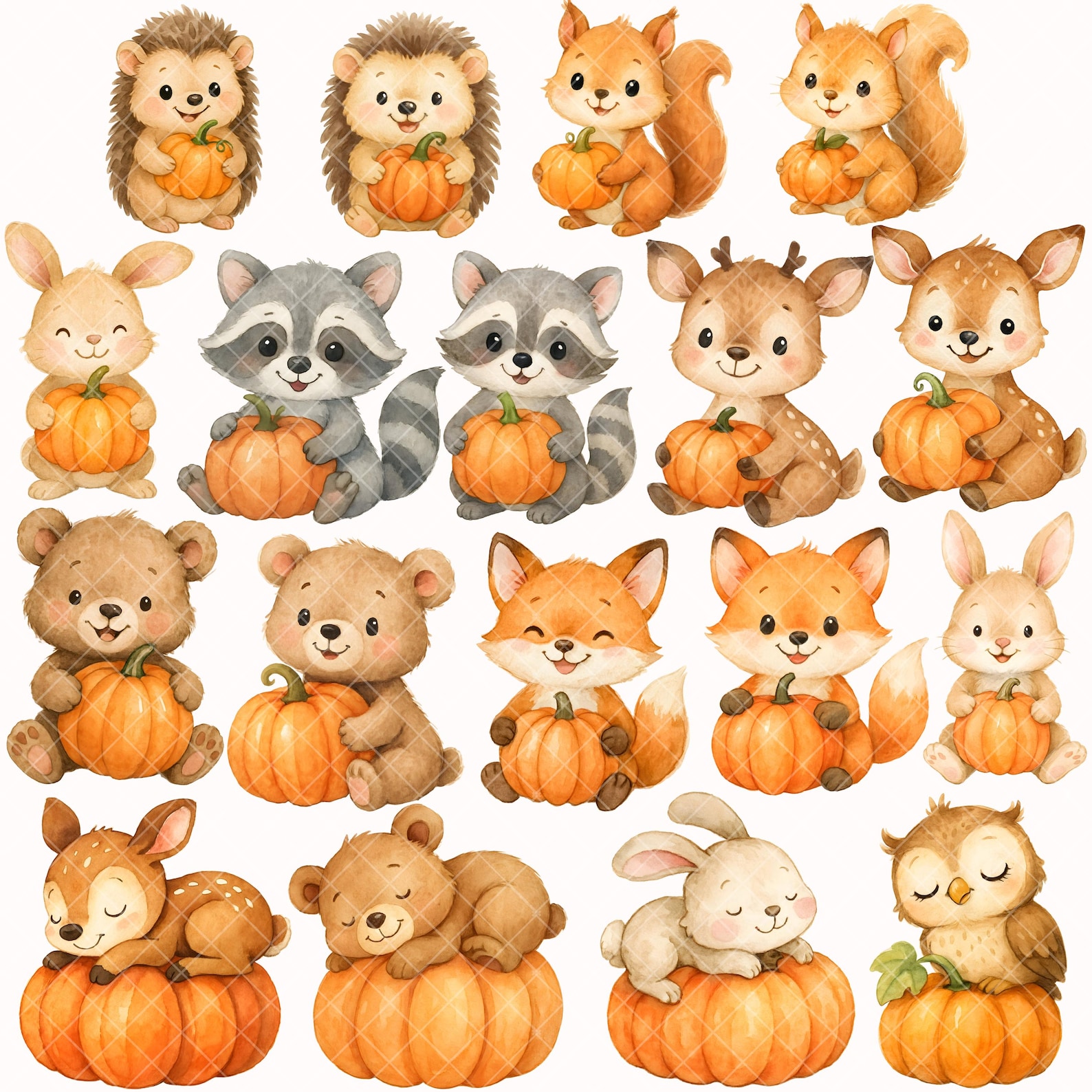 Cute Fall Woodland Clipart - Watercolor - Forest Animal Png - Bear ...