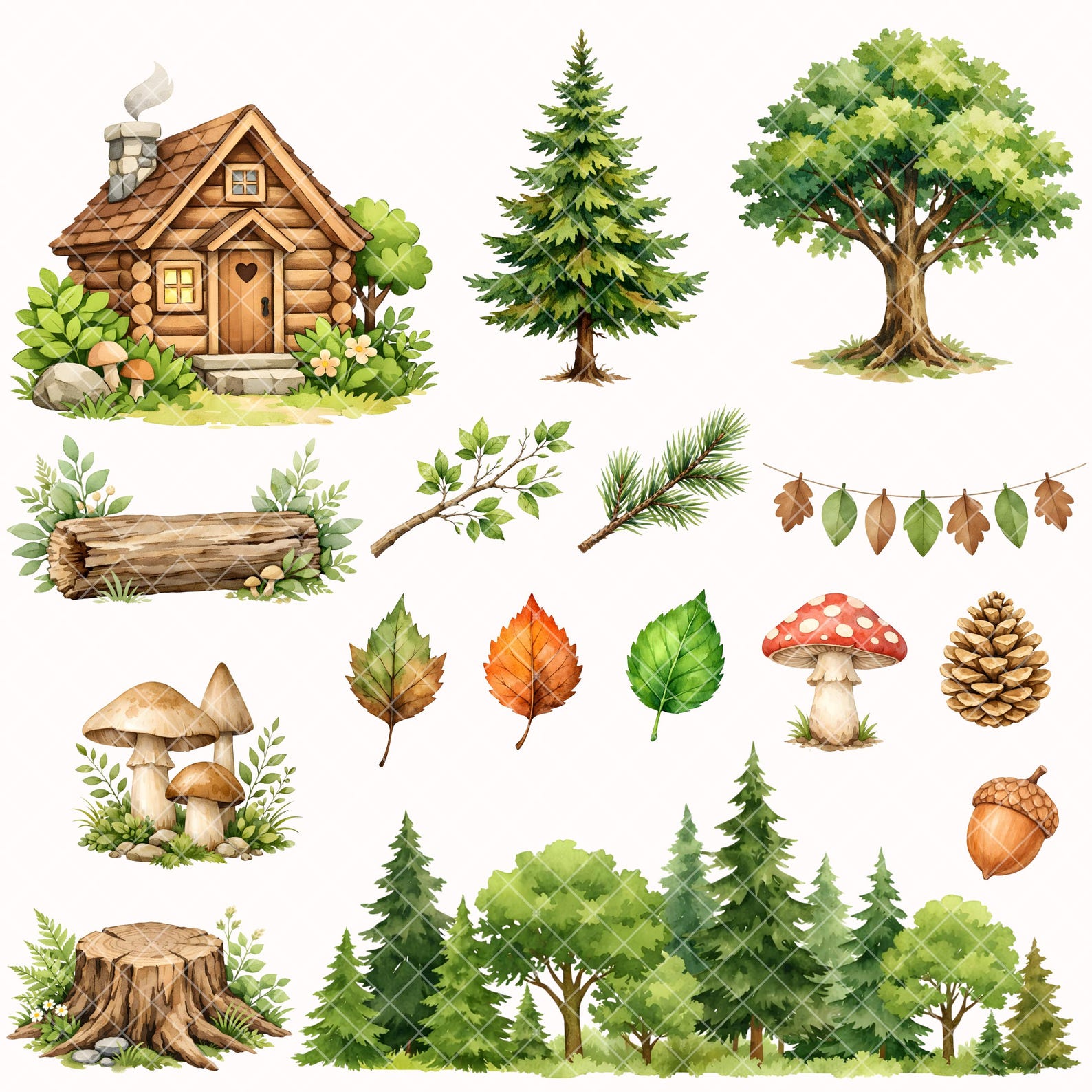 Cute Woodnland Clipart - Watercolor - Forest Animals Png - Commercial ...