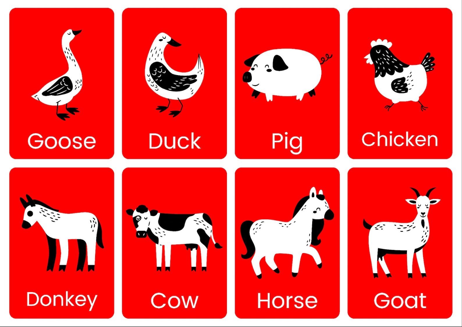 High Contrast Animal Flashcards - Etsy