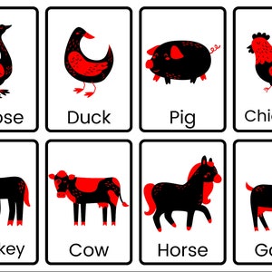 High Contrast Animal Flashcards - Etsy