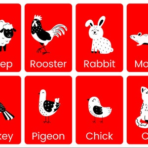 High Contrast Animal Flashcards - Etsy