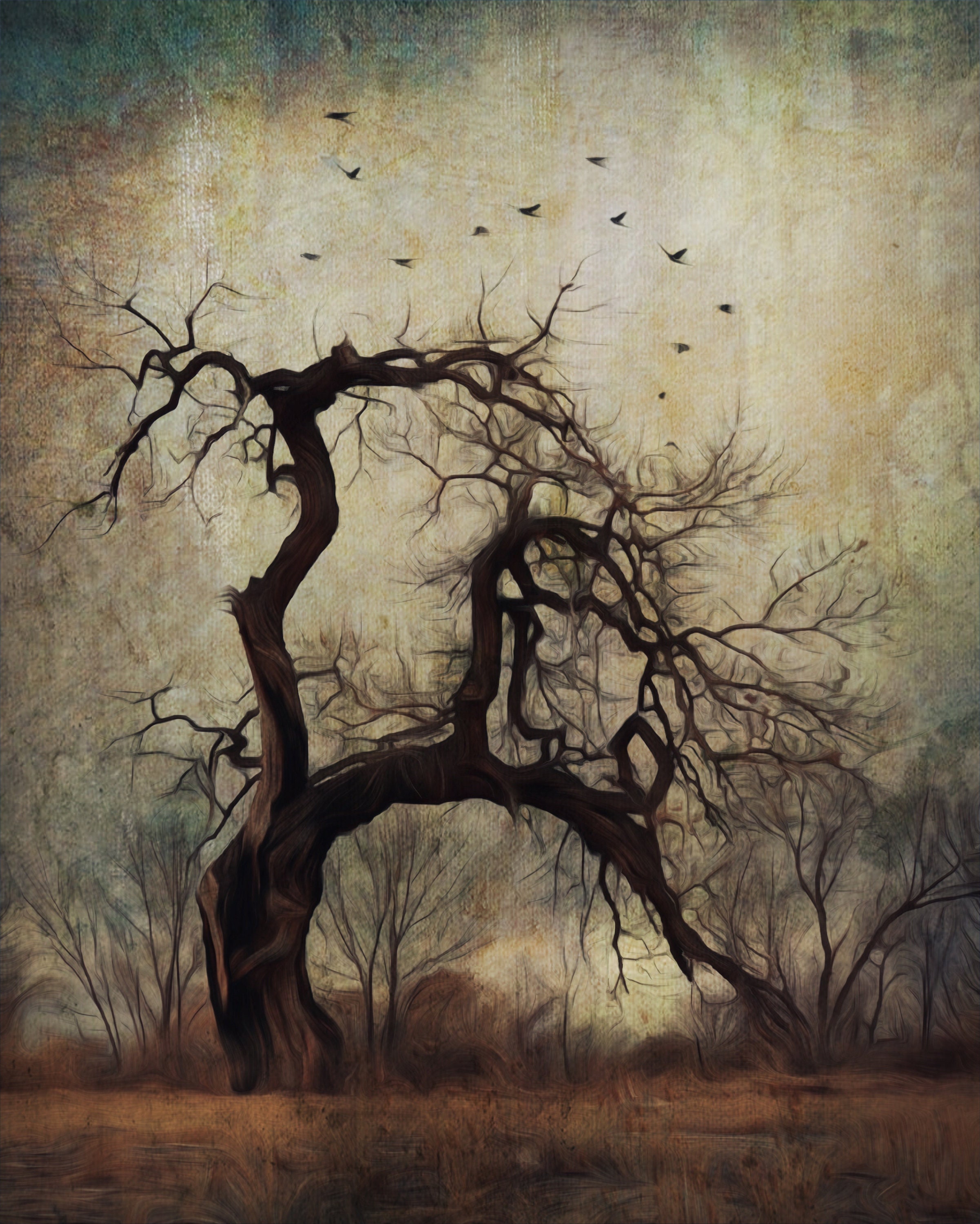 Cottonwood Spooky Gothic Tree and Birds Deep Matte Fine Art - Etsy
