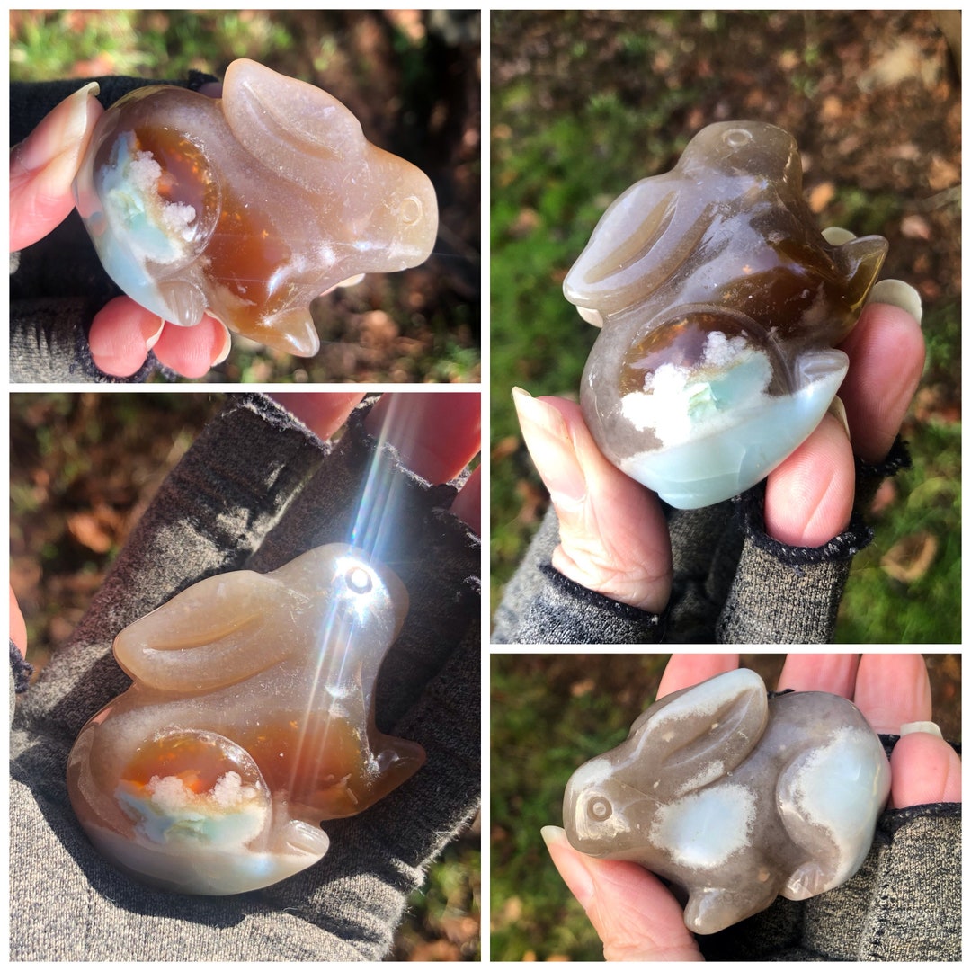 Whos a Cutie Flower Agate Bunny Rabbit - Etsy
