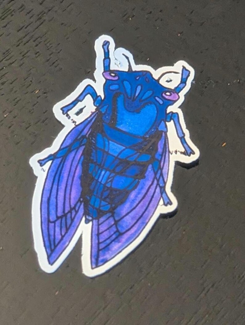 Cicada Sticker - Etsy