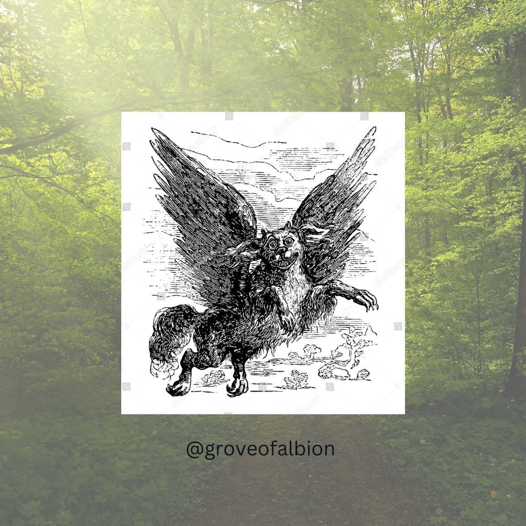 Duke/dutchess Bune Information Sheets - Etsy